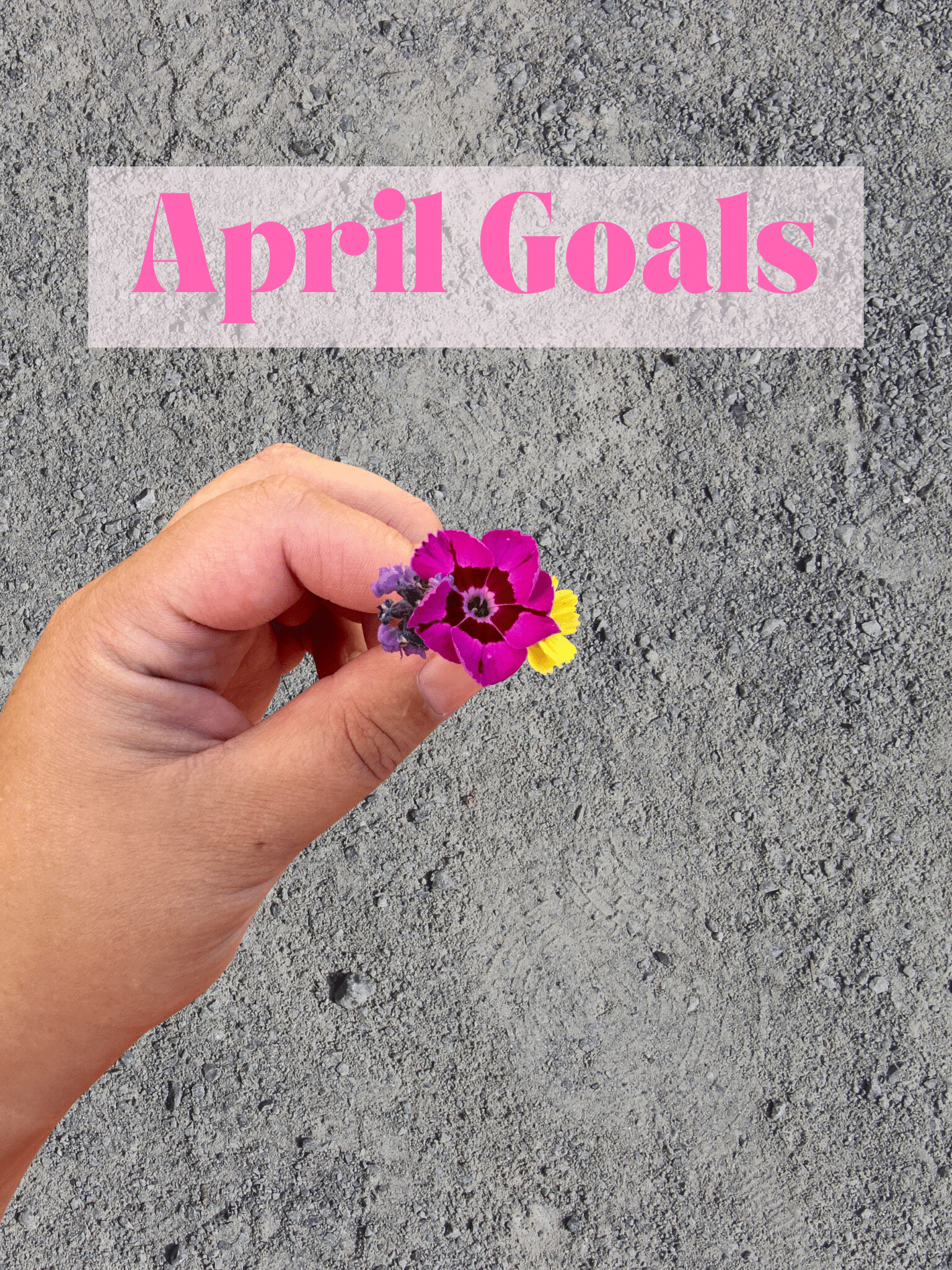 April Goals 2024